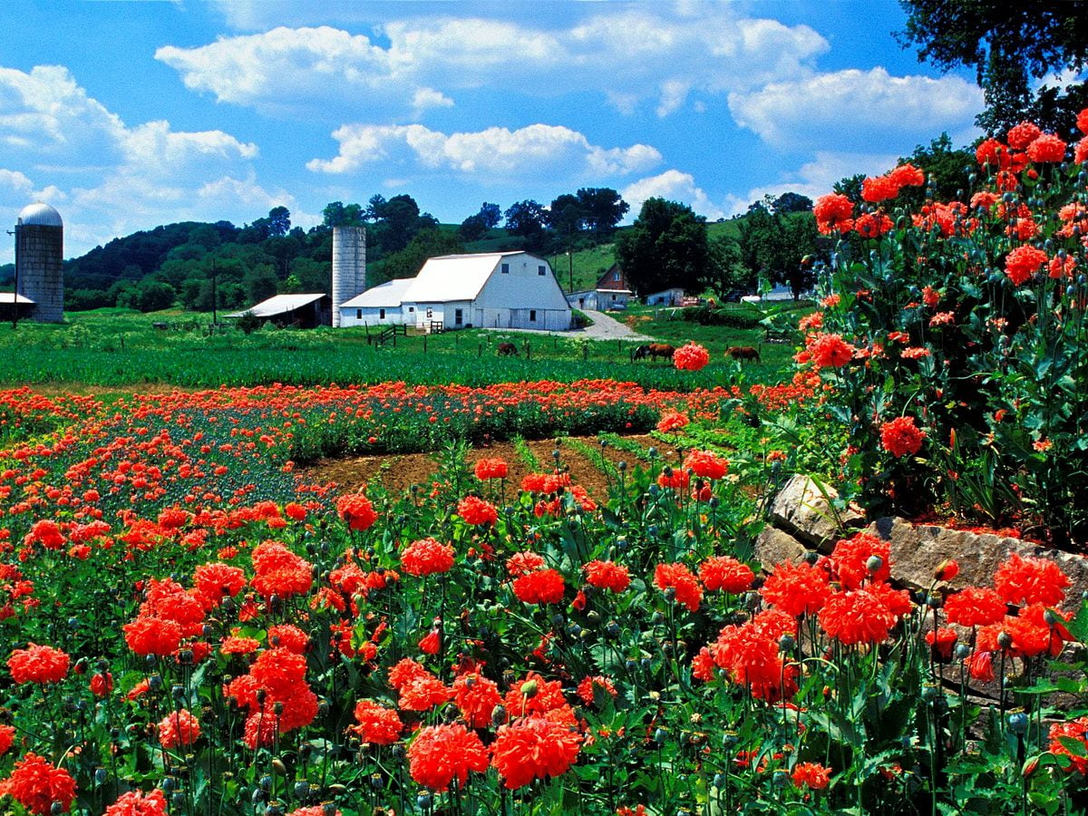 70+ Farm wallpapers HD | Download Free backgrounds