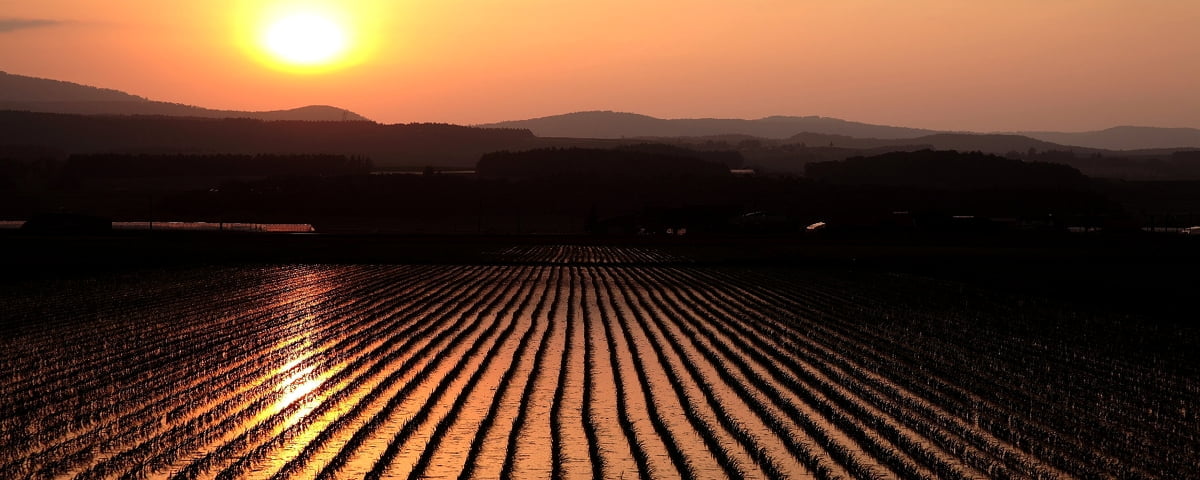 Phone For Dual Monitors, Sunset, Horizon wallpaper | Download Best Free ...