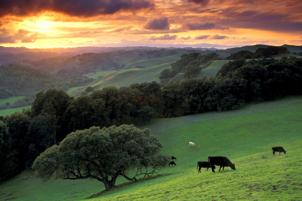150+ Hill background images | Download Free wallpapers