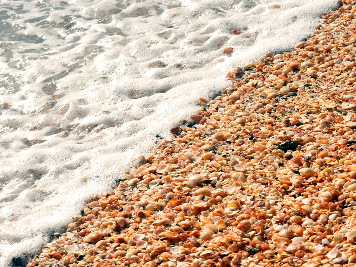 1200+ 4K Beach wallpapers | Download Free backgrounds