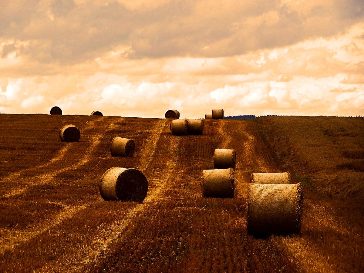 120+ HDR billeder baggrunde HD | Download Gratis Baggrundsbilleder