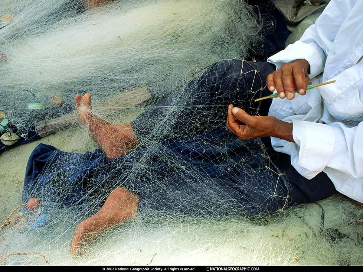 Background National Geographic, Beyond Civilization, Nat Geo | Download ...