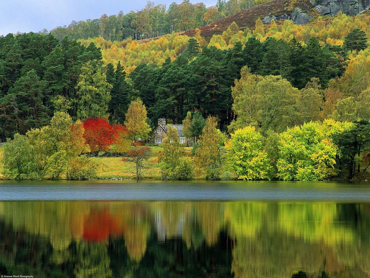 2000+ Nature background images | Download Free wallpapers