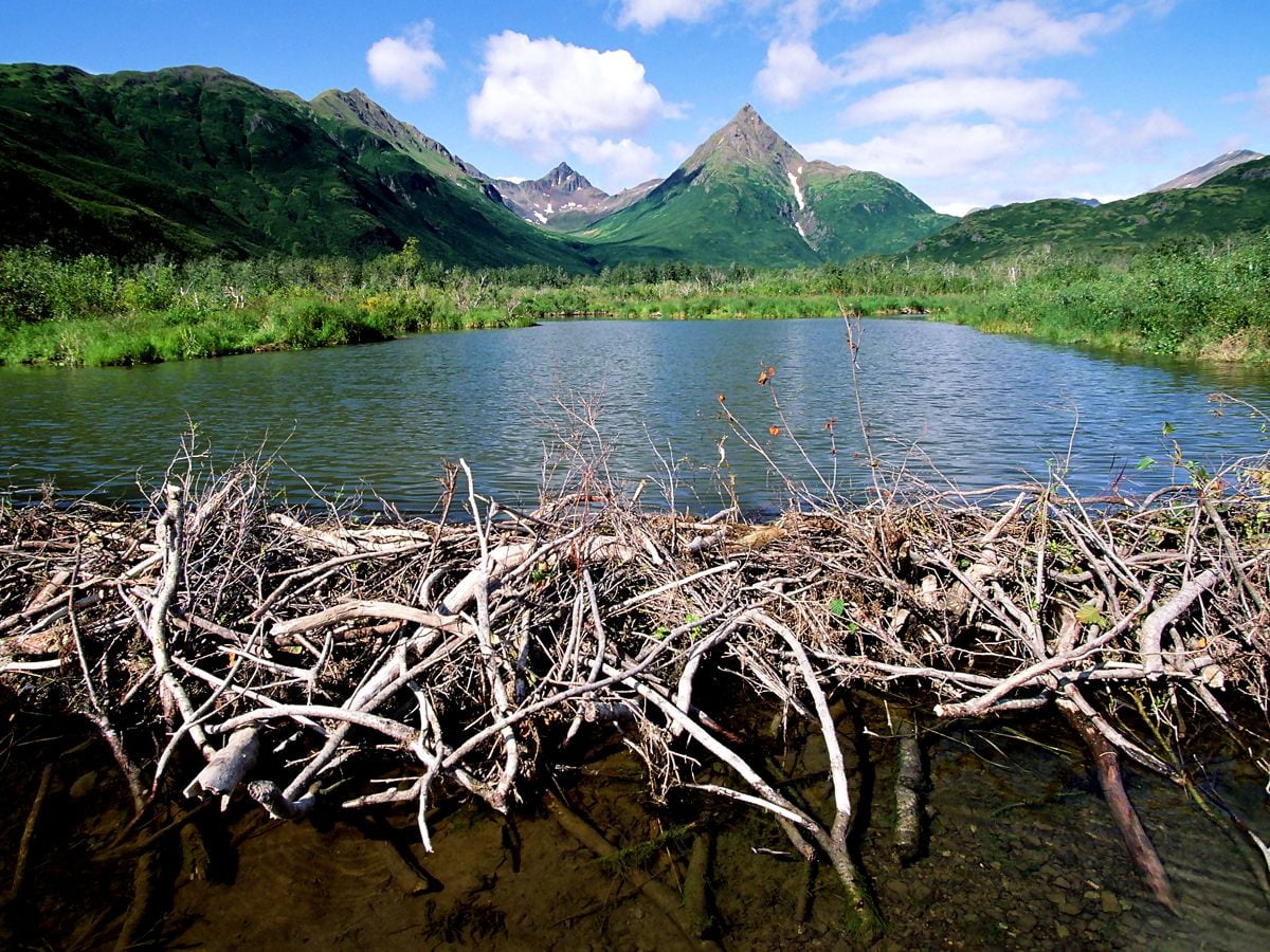 1800+ Lake backgrounds HD | Download Free wallpapers