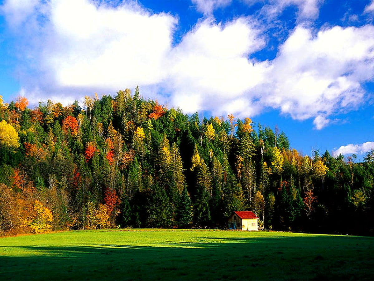 340+ Autumn backgrounds HD | Download Free wallpapers