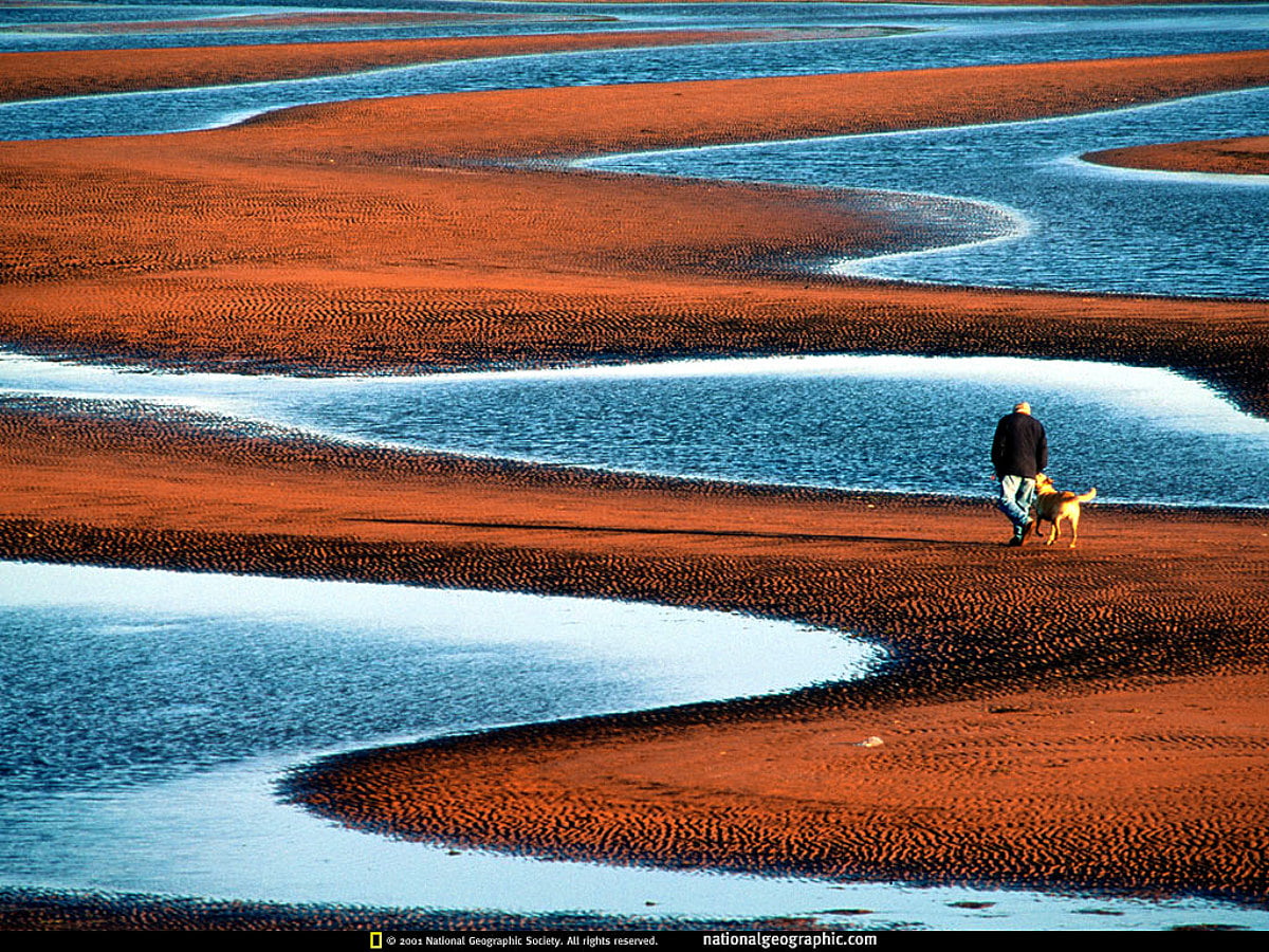 750+ Cute Reflection backgrounds | Download Free wallpapers