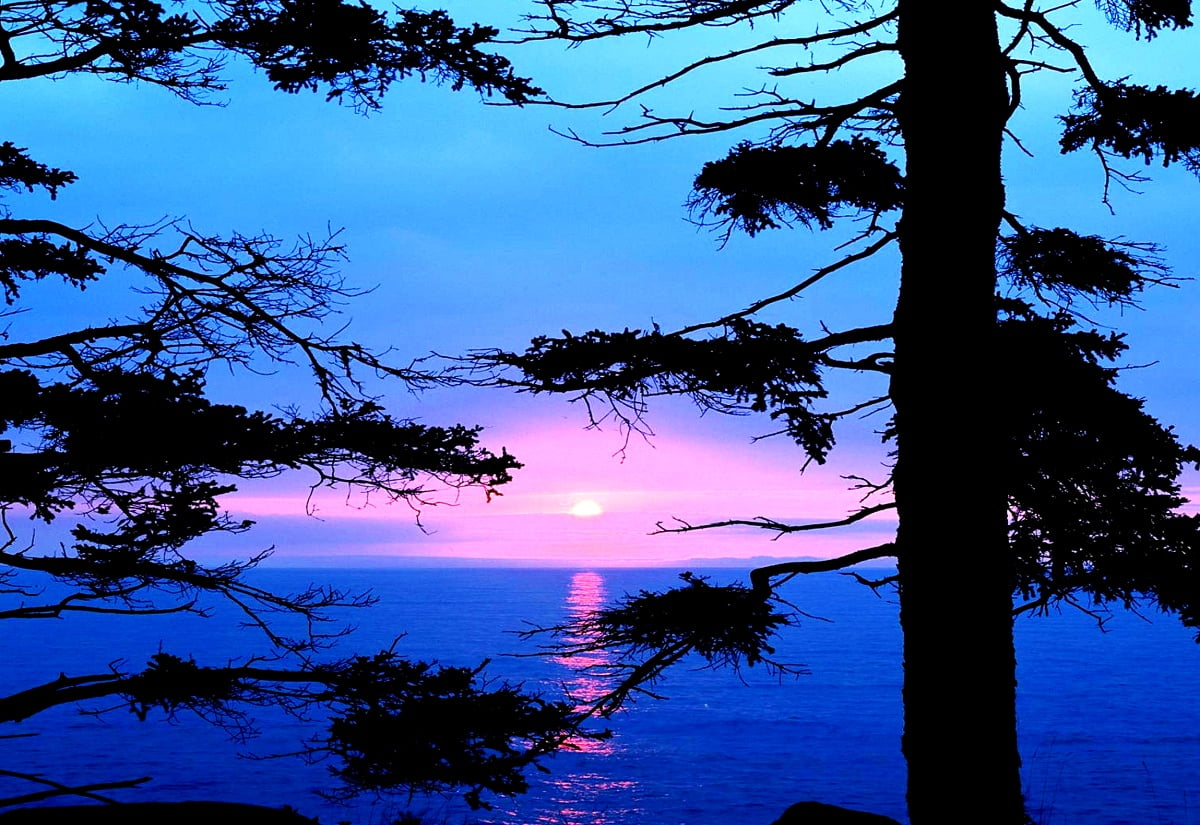 140+ Dusk backgrounds HD 🔥 Download Free wallpapers