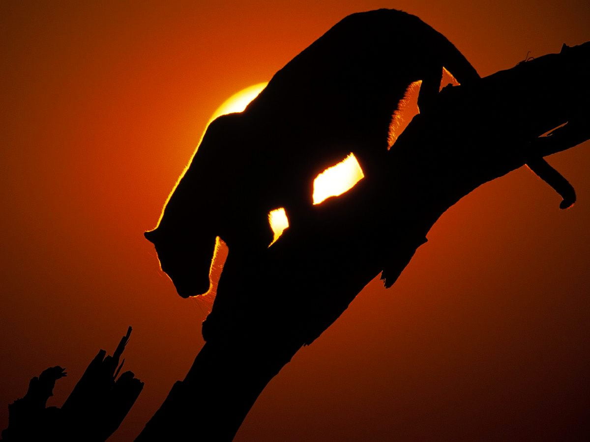 30+ Fondos de pantalla - Contraluz HD |Fondos Gratis