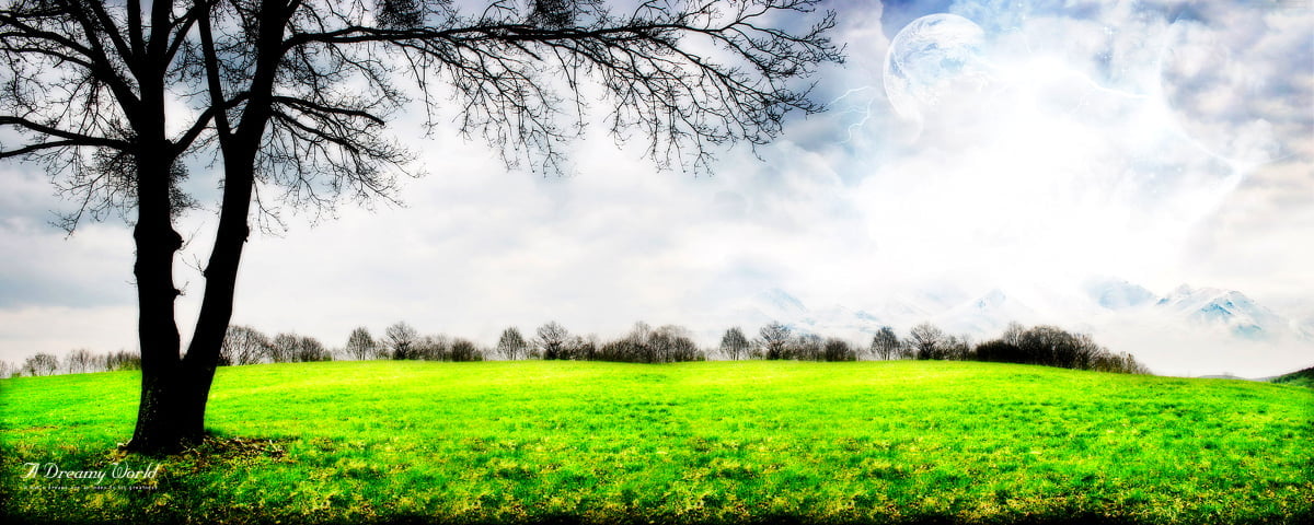 2000+ Natur baggrunde HD | Download Gratis Baggrundsbilleder