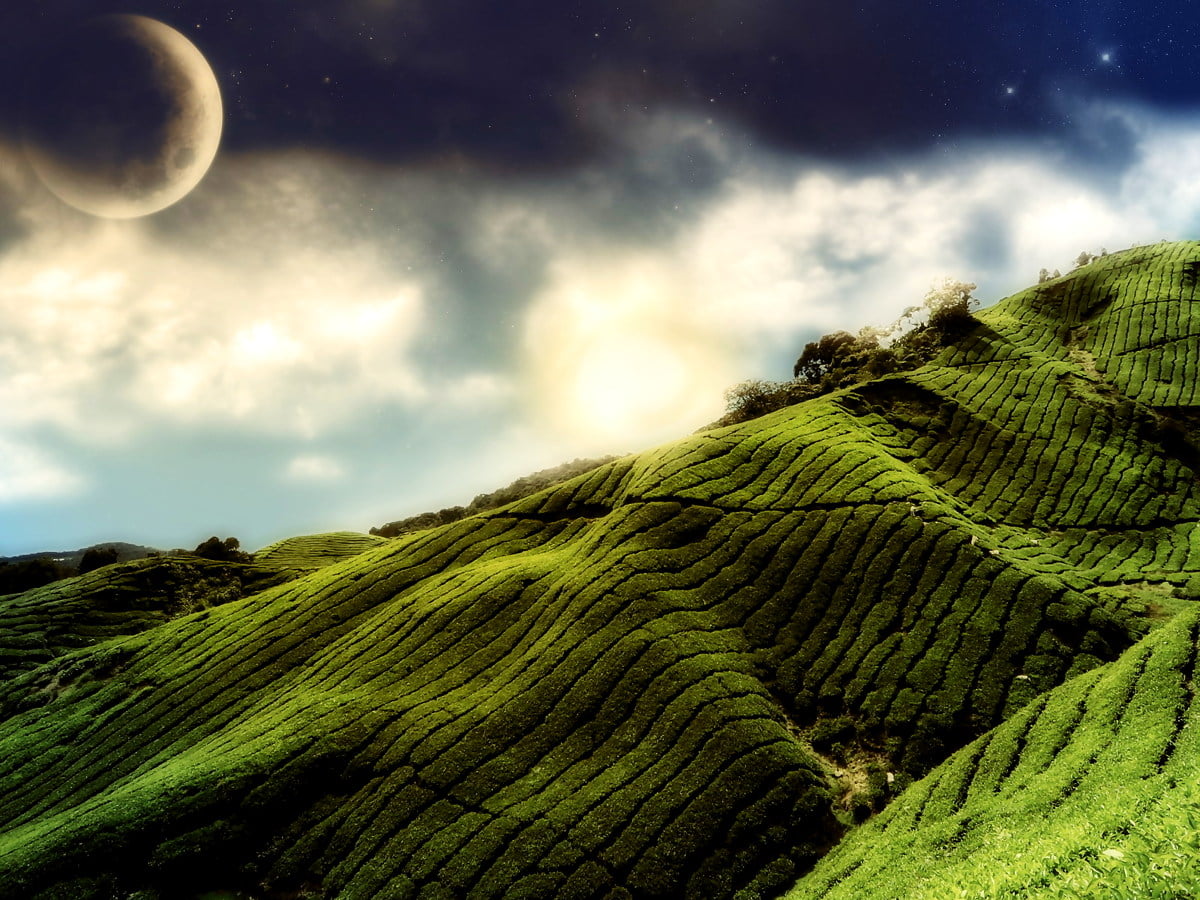 150+ Bakke baggrundsbilleder HD | Download Gratis Baggrunde