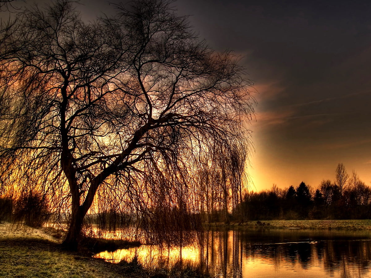 Bakgrunn Natur, Speilbilde, Skyer | Laste Ned Gratis bakgrunner