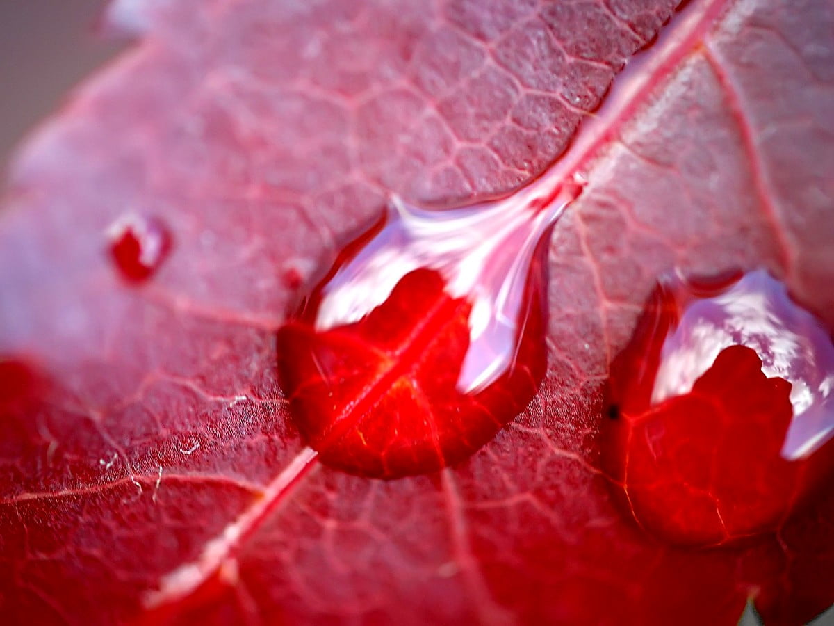 20+ Candy wallpapers HD | Download Free backgrounds