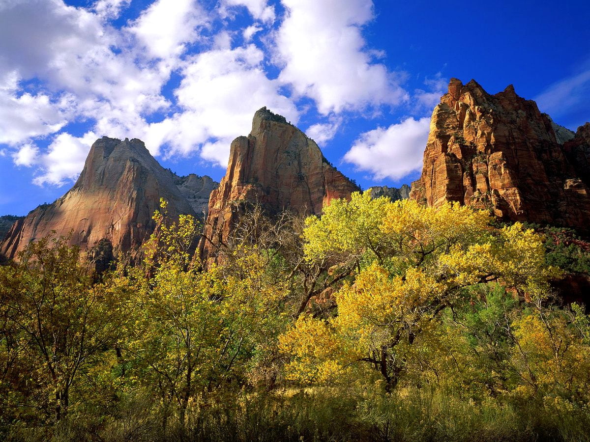 80+ Autumn landscape backgrounds HD | Download Free wallpapers