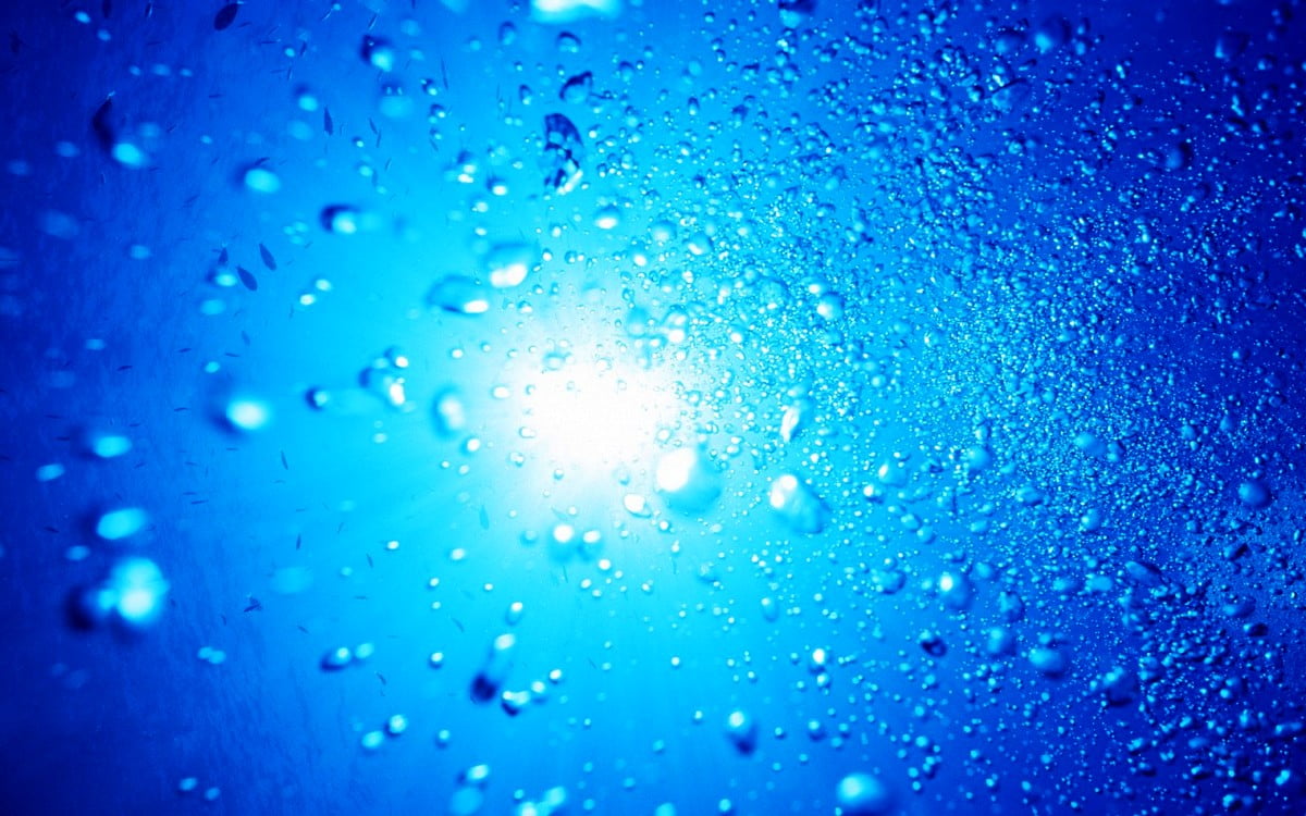 Wallpaper Ocean Life, Blue, Aqua | TOP Free backgrounds