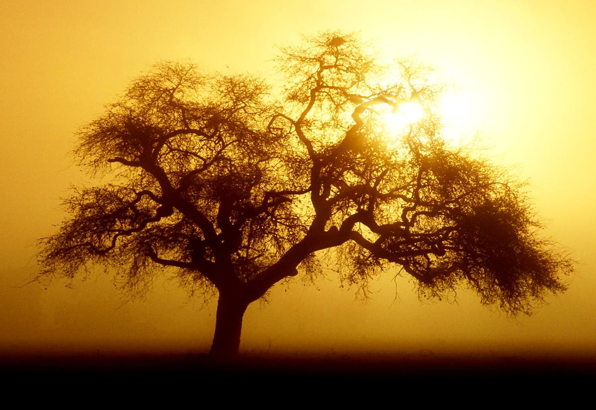 2000+ Desktop Nature backgrounds | Download Free wallpapers