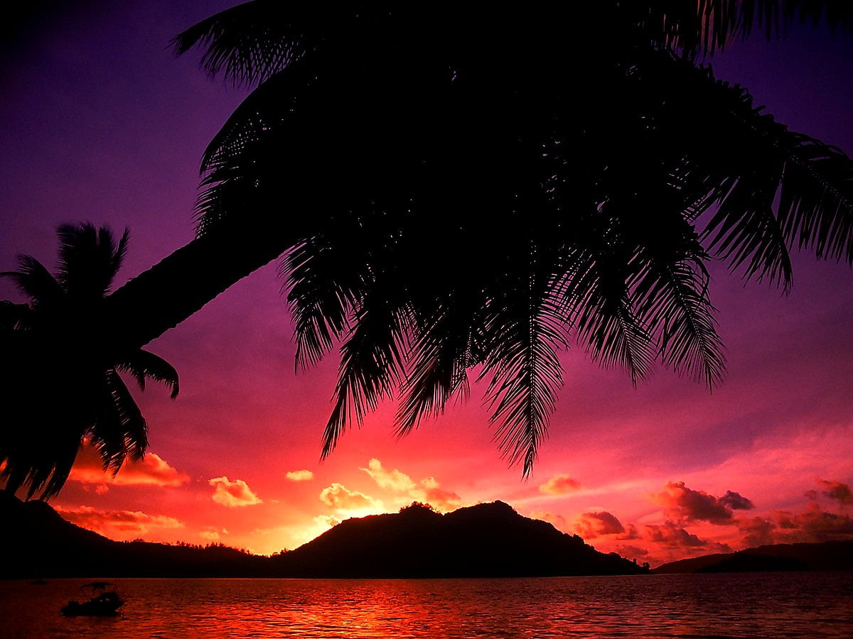 230+ Tropics wallpapers HD | Download Free backgrounds