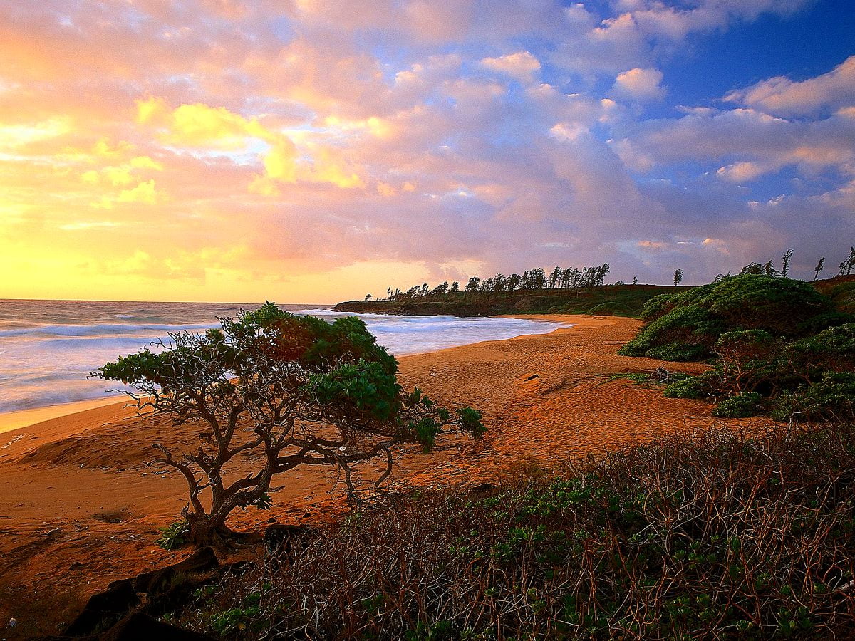 50+ Hawaii wallpapers HD | Download Free backgrounds