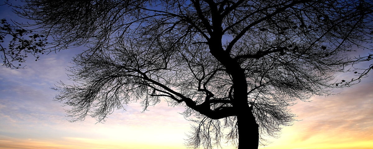 2000+ Natur baggrunde HD | Download Gratis Baggrundsbilleder
