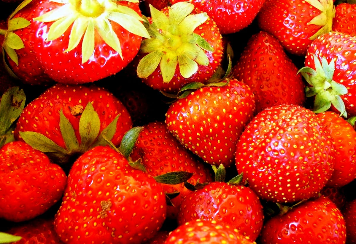 30+ Fonds d'écran Fraise HD |Télécharger Gratuitement