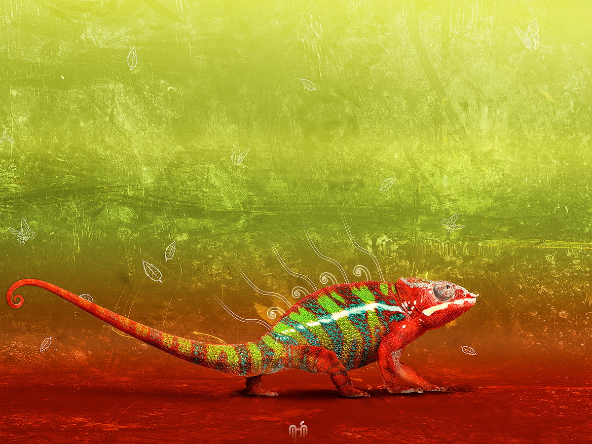 1600x900 Digital Art, Lizard, Reptile wallpaper | Free TOP wallpapers