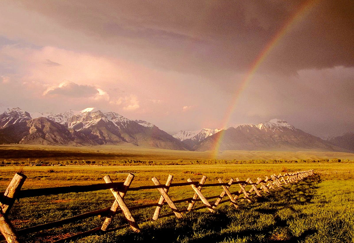 60+ Rainbow wallpapers HD 🔥 Download Free backgrounds