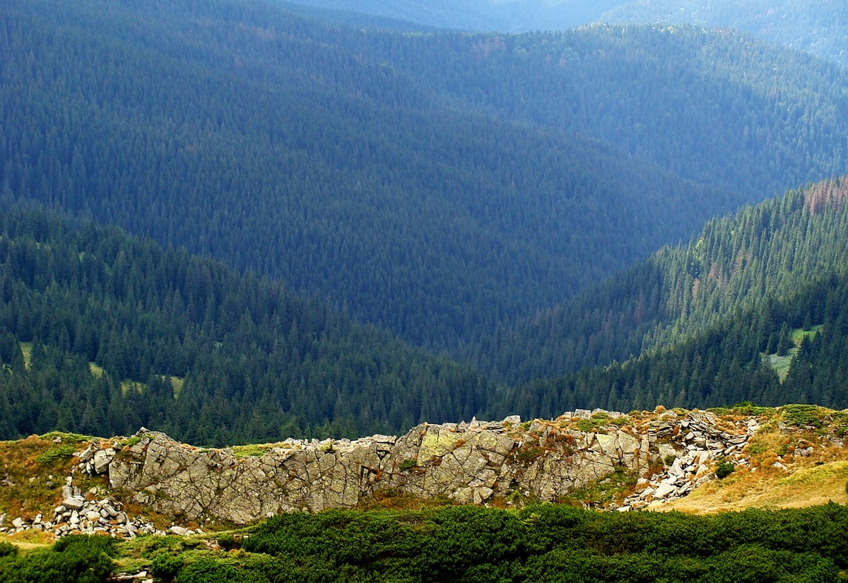 20+ Carpathians wallpapers HD | Download Free backgrounds