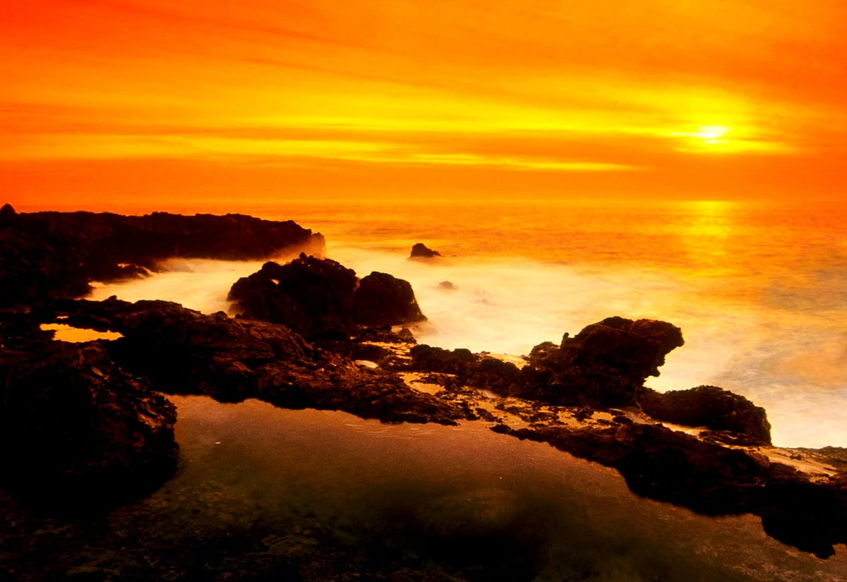 Sun, Nature, Horizon background | FREE Best pictures