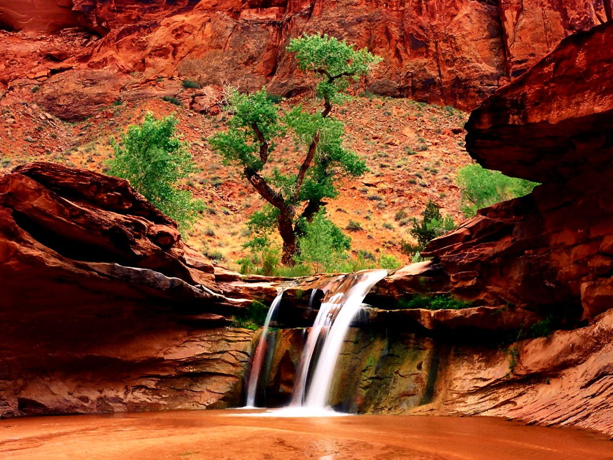 40+ India wallpapers HD | Download Free backgrounds