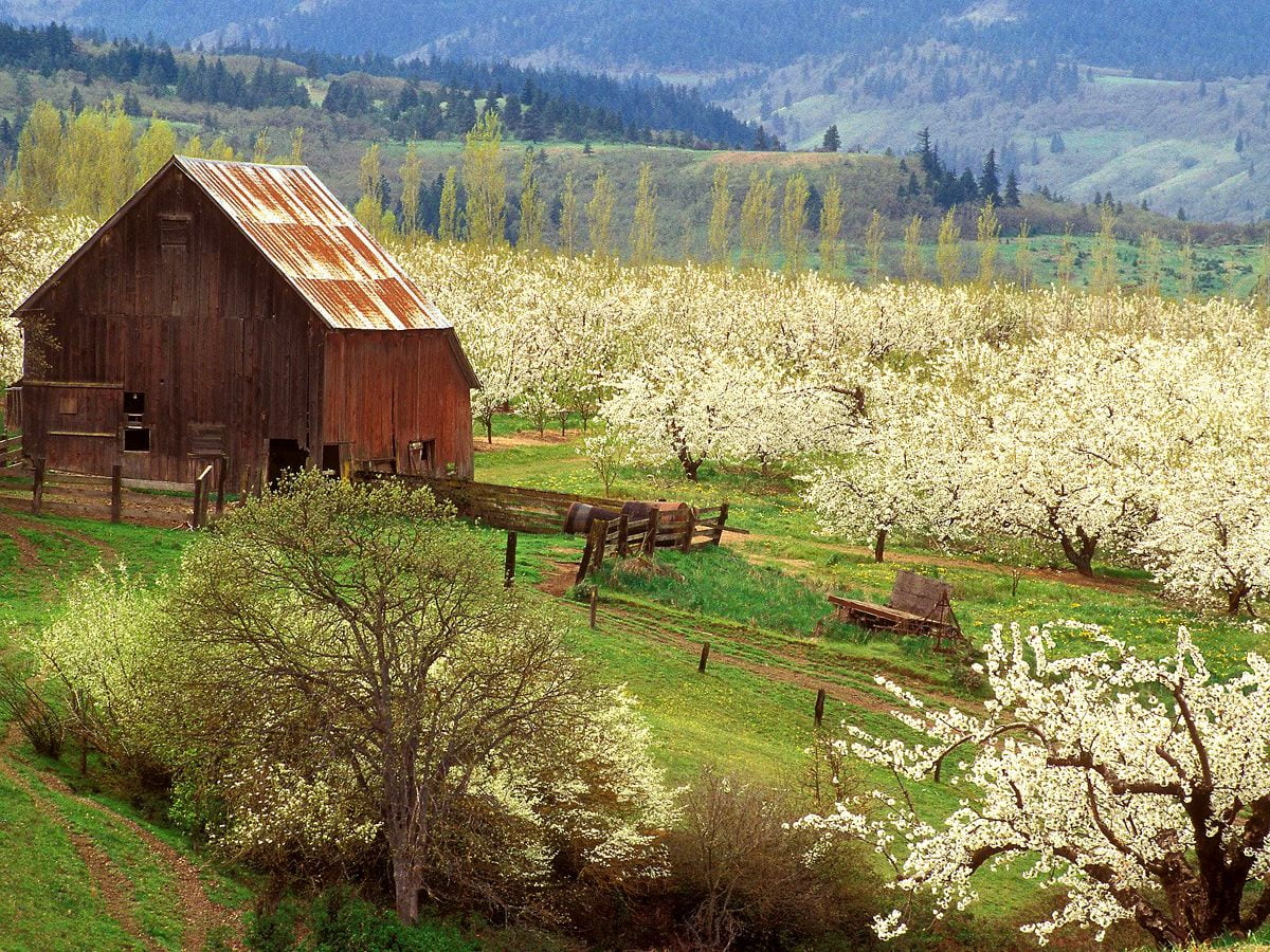 70+ Fondos de pantalla - Granja HD | Fondos Gratis