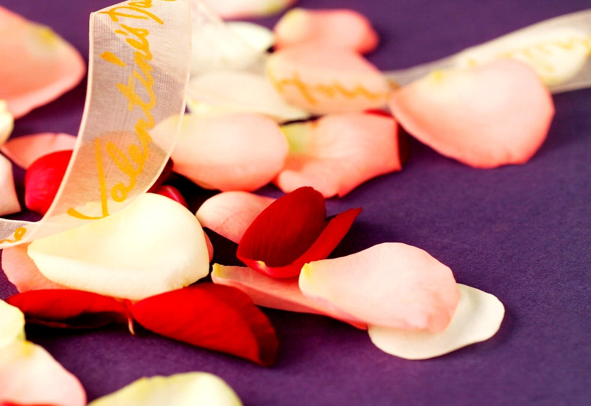30+ Sweet wallpapers HD | Download Free backgrounds