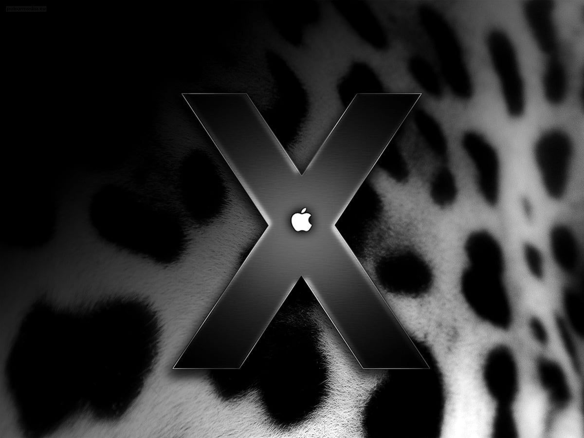 Mac Os X Leopard, En Blanco Y Negro, Gatos - imagen para escritorio ...
