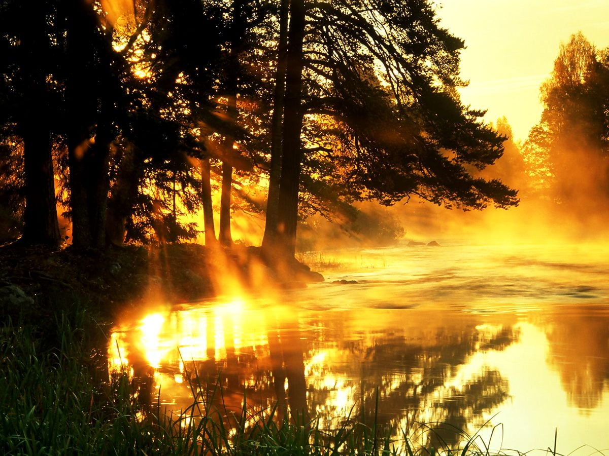 Widescreen Lake, Nature, Sunlight background | FREE Best pictures