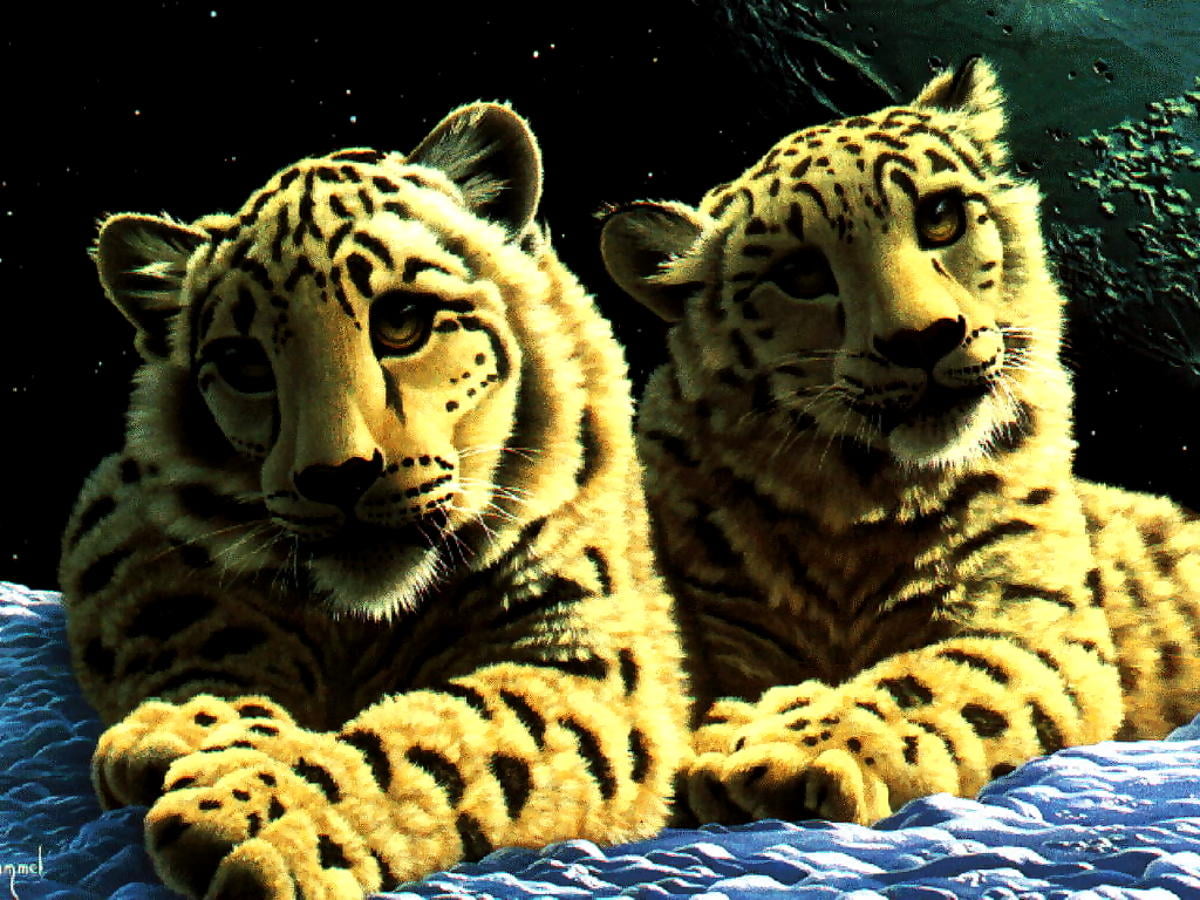 220+ HD phone wallpapers Zoo | Download Free pictures