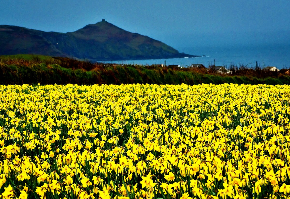 Raps baggrunde HD | Download Gratis Baggrundsbilleder