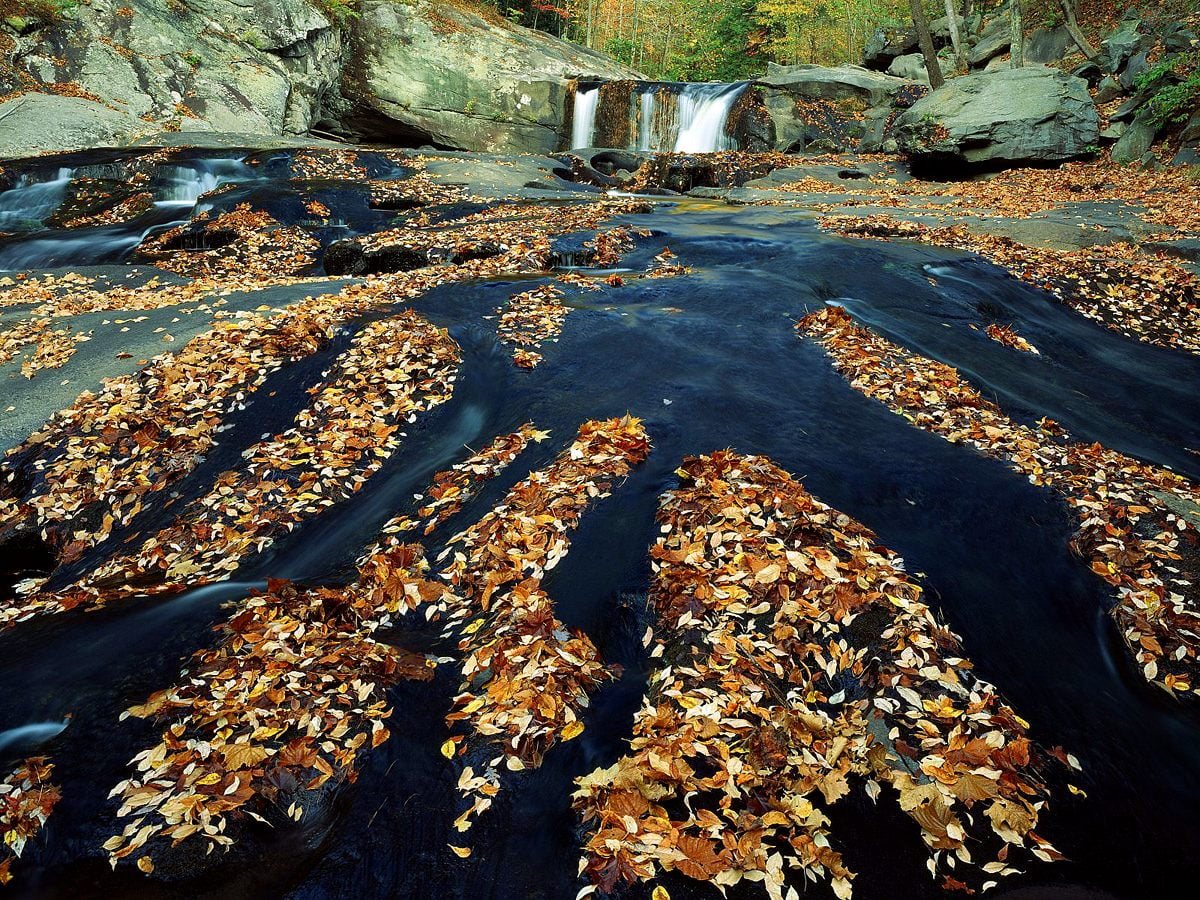 710+ River backgrounds HD | Download Free wallpapers