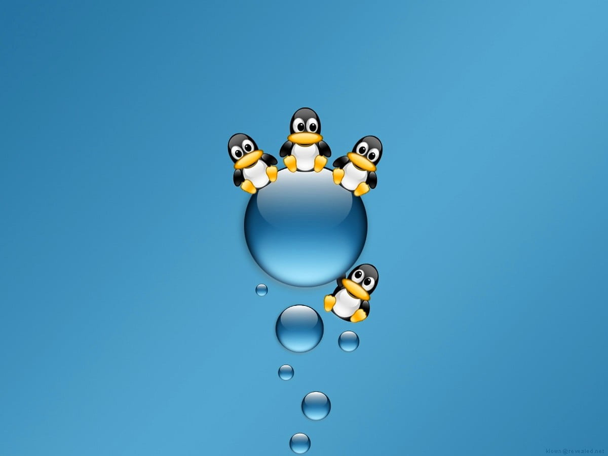 Fond D'écran Geek Linux