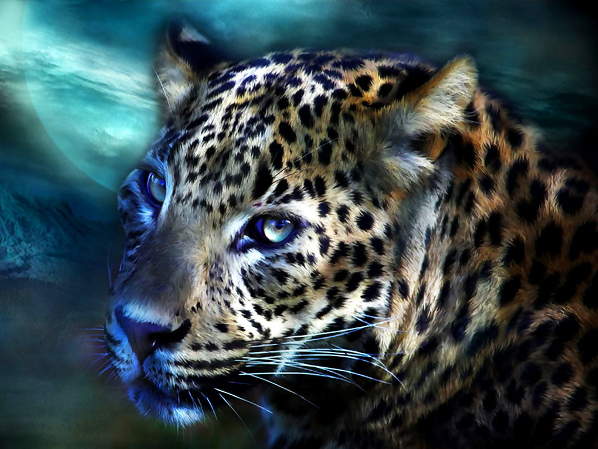 Dyreliv, Jaguar, Dyr baggrund | Download Gratis Bedste baggrund
