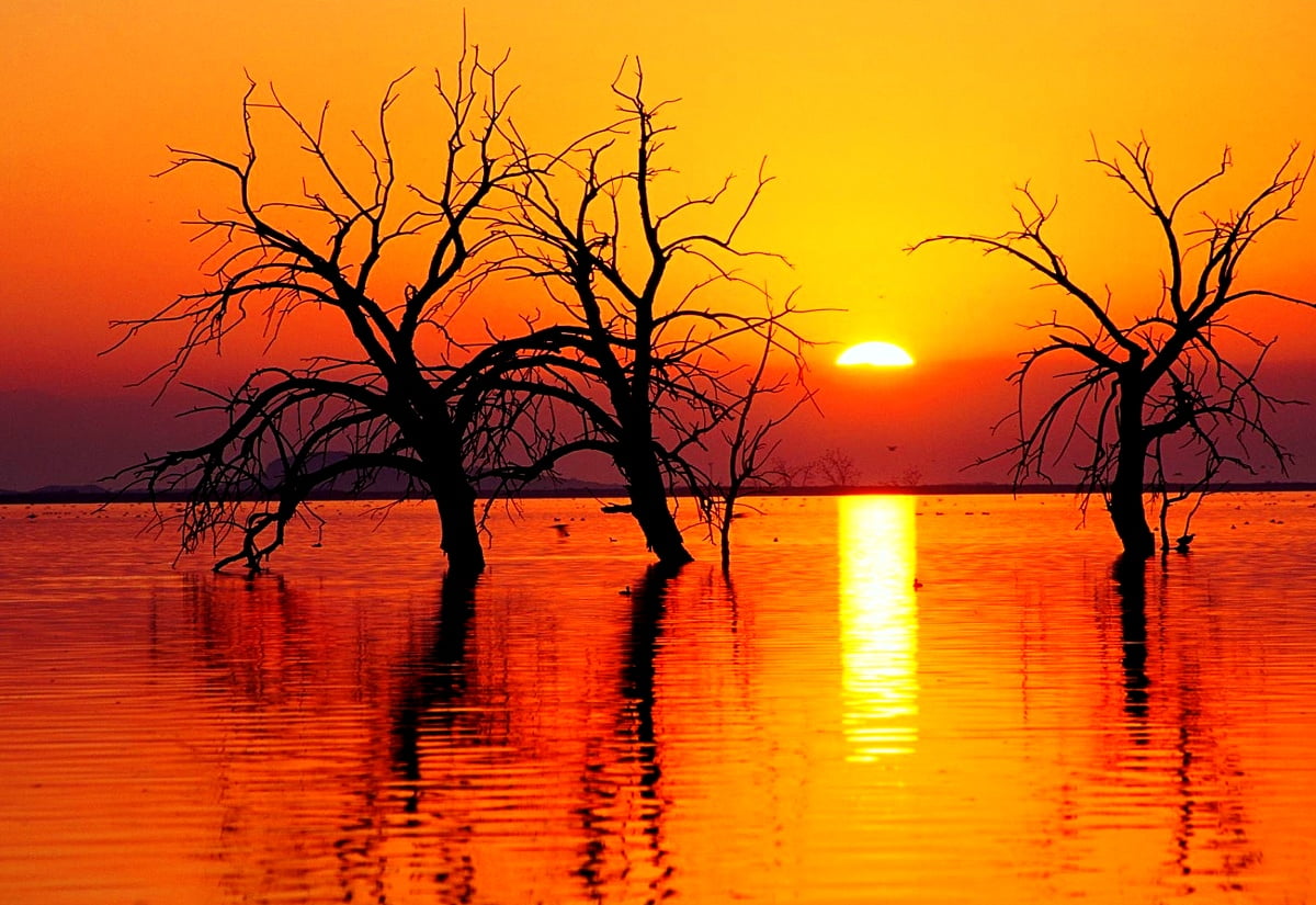 Sun, Nature, Sunset wallpaper | Best Free Download backgrounds