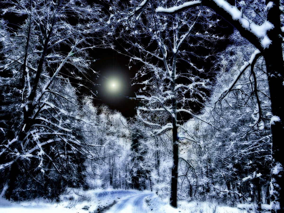Fed baggrund Vinter, Frost, Sne | Gratis Top baggrund