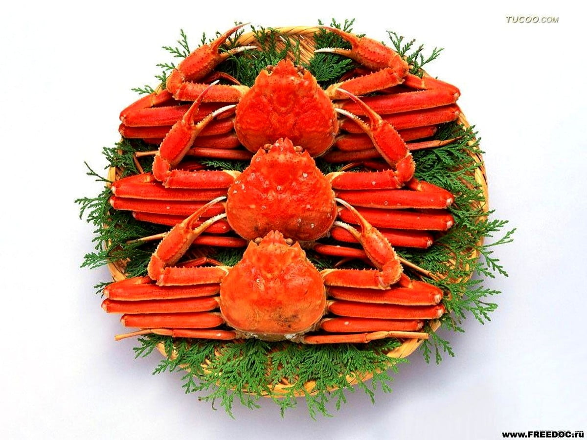 90+ Fondos de pantalla - Mariscos HD |Fondos Gratis