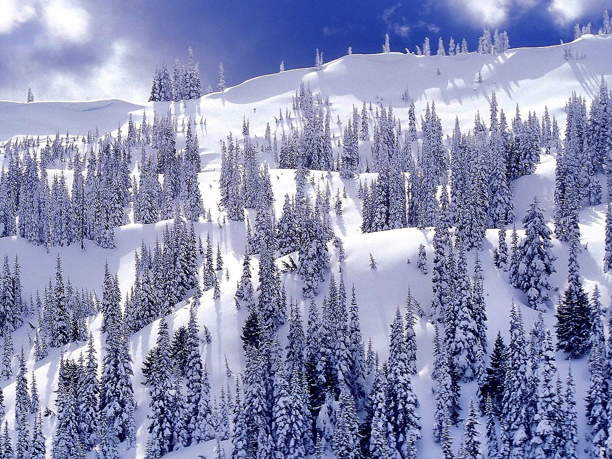 320+ Vinter baggrunde HD | Download Gratis Baggrundsbilleder