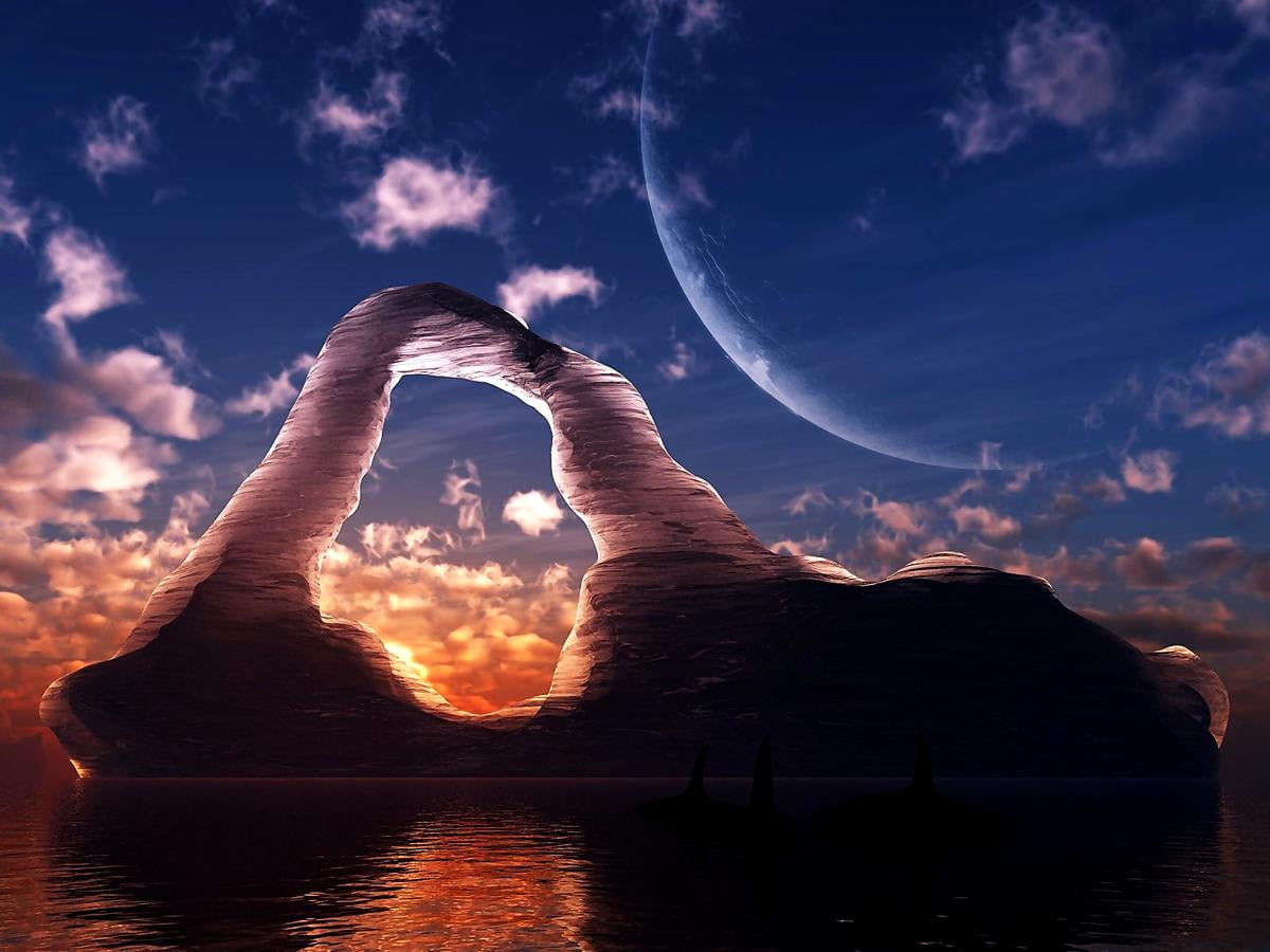 60+ Whale wallpapers HD | Download Free backgrounds