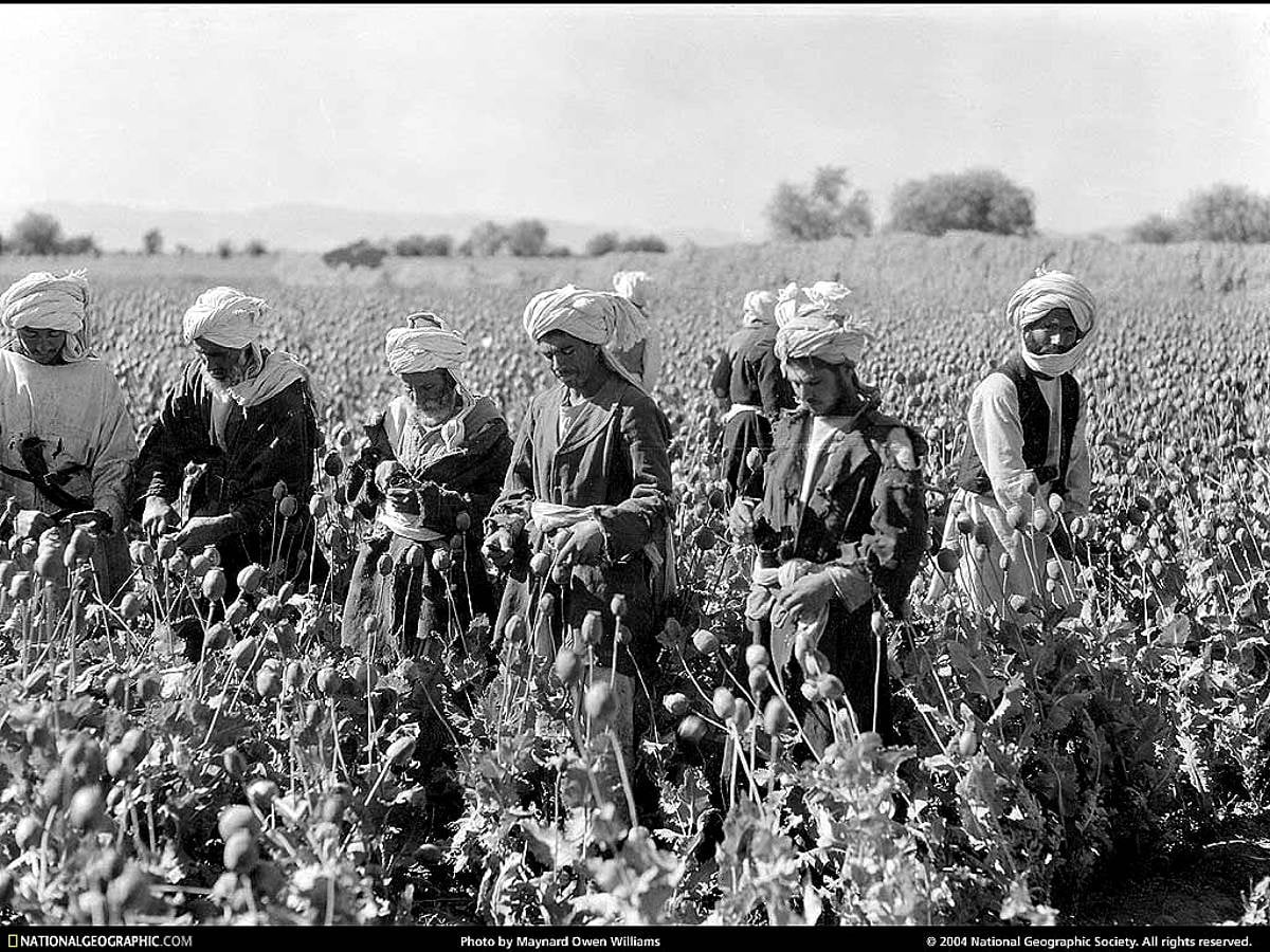 Nat Geo, Beyond Civilization, National Geographic background | Best ...