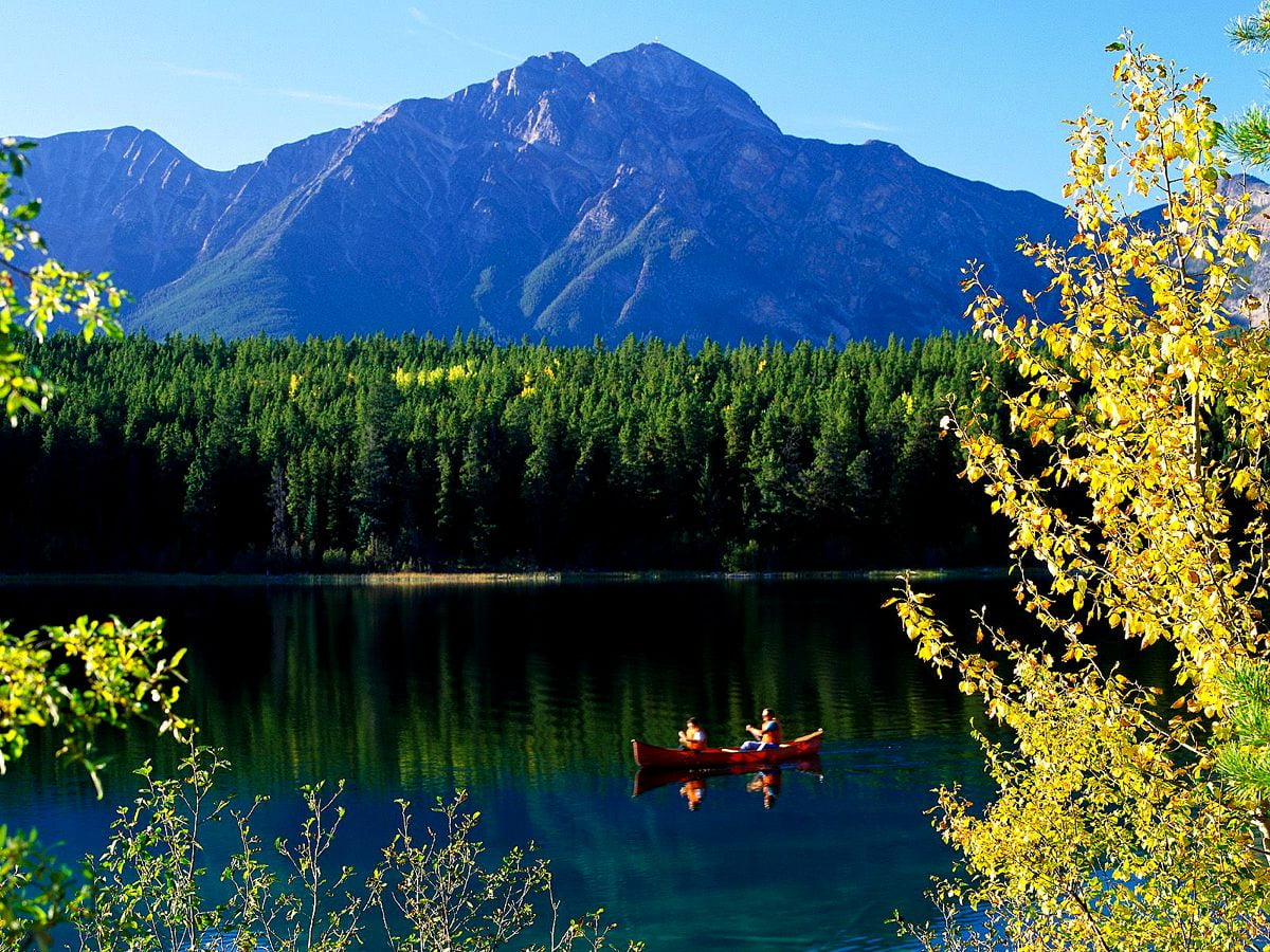 2000+ Nature background images | Download Free wallpapers