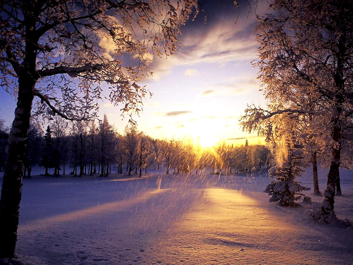 320+ Fondos de pantalla - Invierno HD | Fondos Gratis
