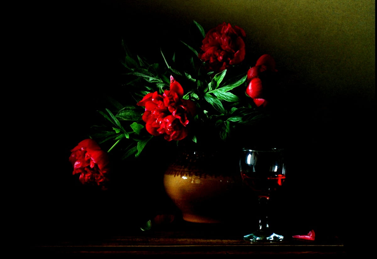 Still Life, Red, Flowers wallpaper | FREE Best backgrounds