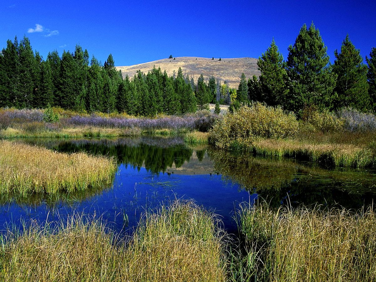 Estetisk bakgrunn Natur, Speilbilde, Fjell | Gratis Topp bakgrunner