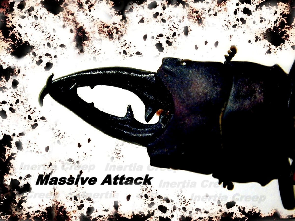 Beautiful Music, Drawing, Sketch wallpaper 🔥 TOP Free pics