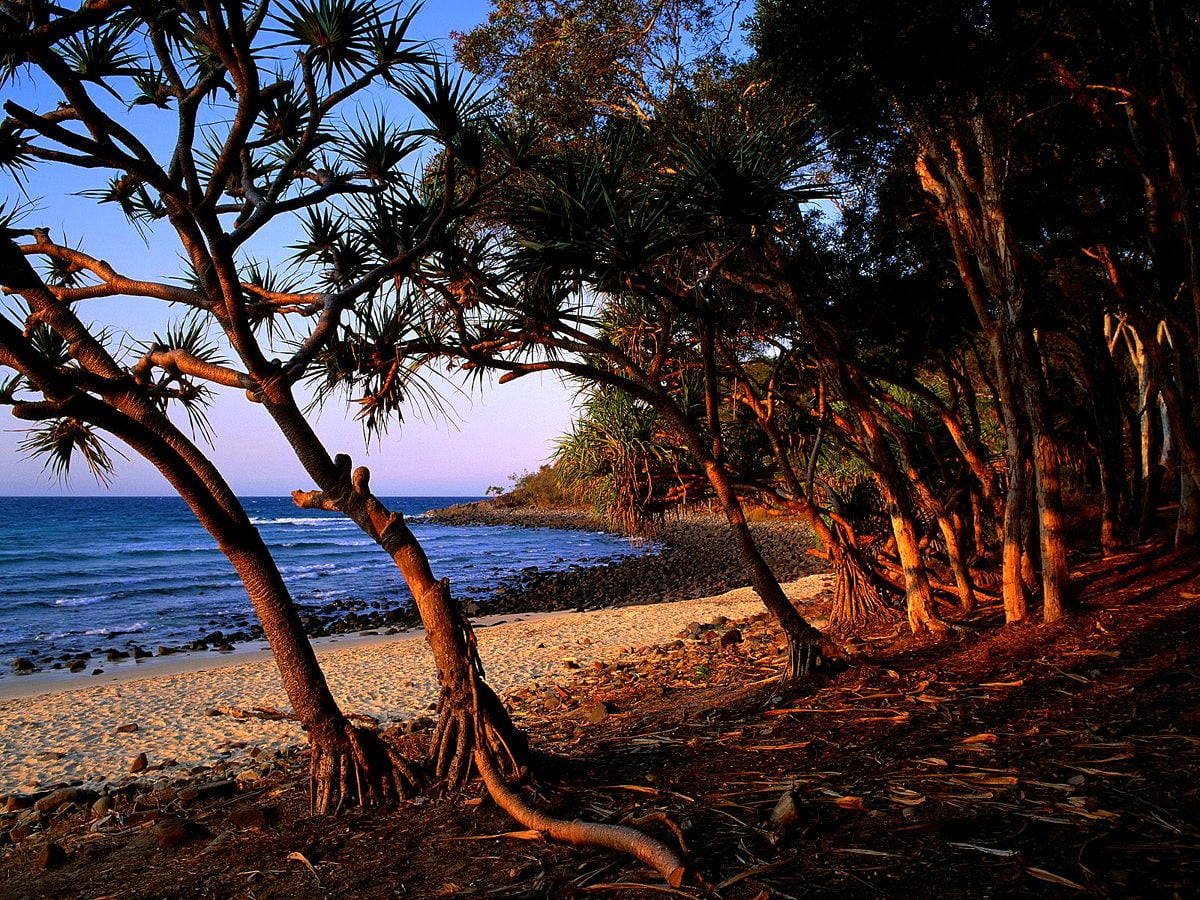 1200+ HD Beach wallpapers | Download Free backgrounds