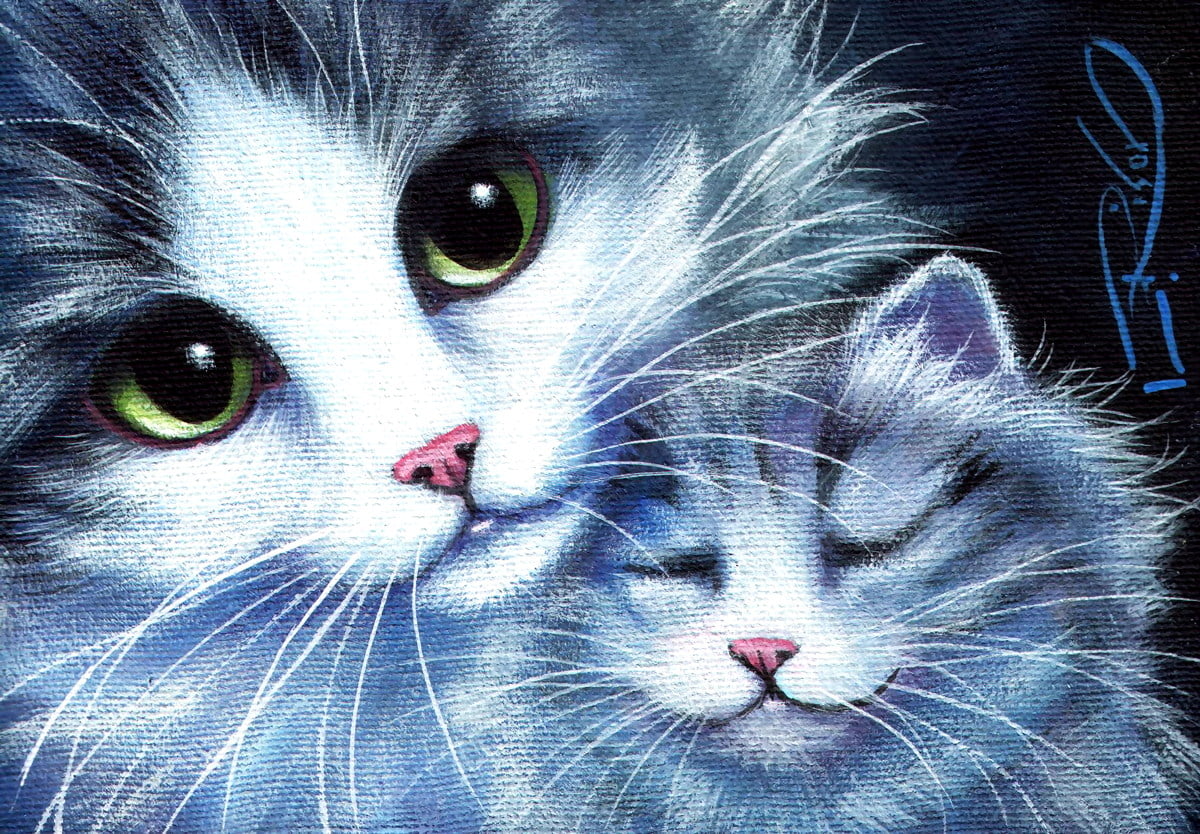 180+ Huskat baggrunde HD | Download Gratis Baggrundsbilleder
